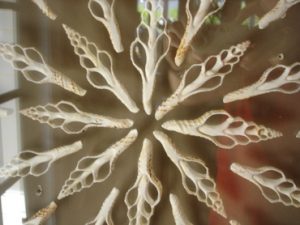 Sliced Spindle Shell Art - Mecox Gardens